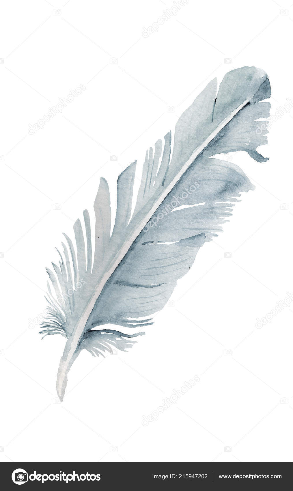 Watercolor Imafe Light Blue Feather White Background Stock Illustration ...