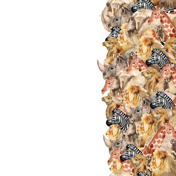 Collage de animales salvajes de la sabana fotos de stock, imágenes de ...