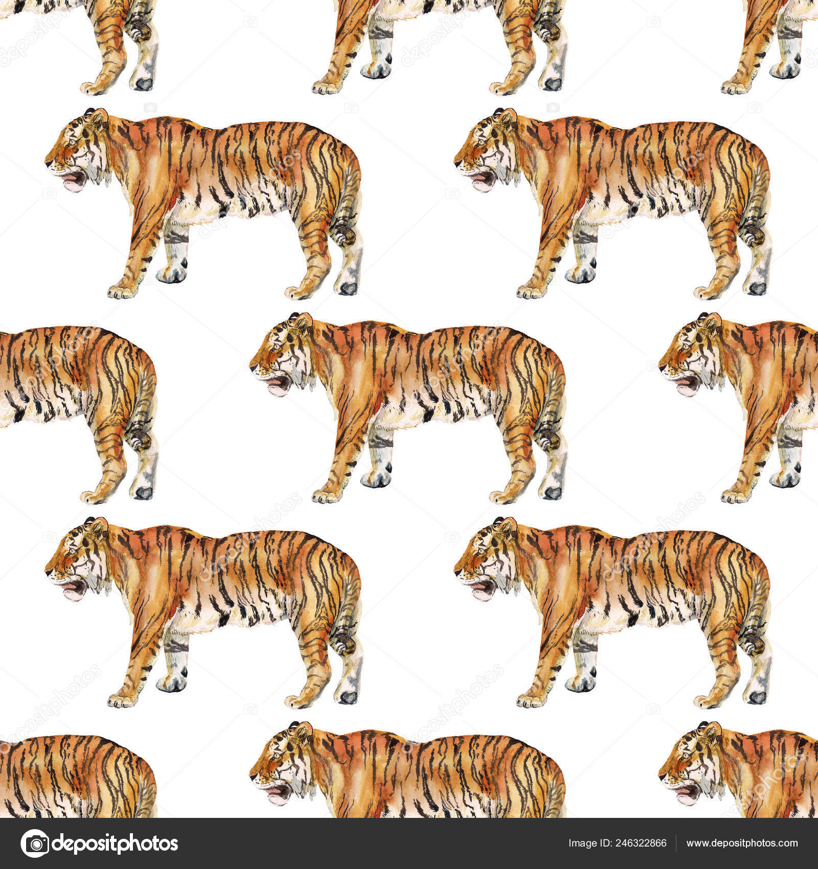 Seamless pattern with tiger — Free Stock Photo © shoshina #246322866