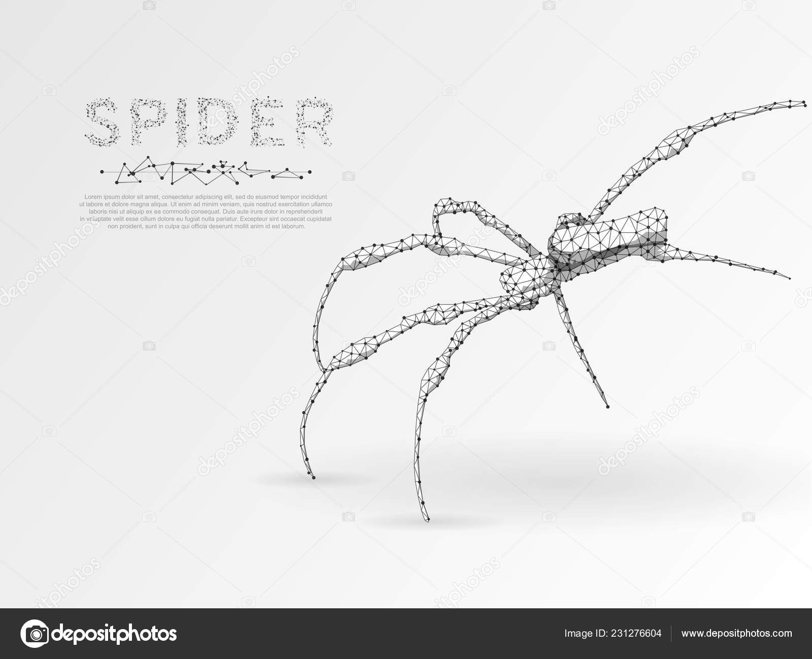 Origami style, Climbing Spider silhouette. Polygonal space low poly ...