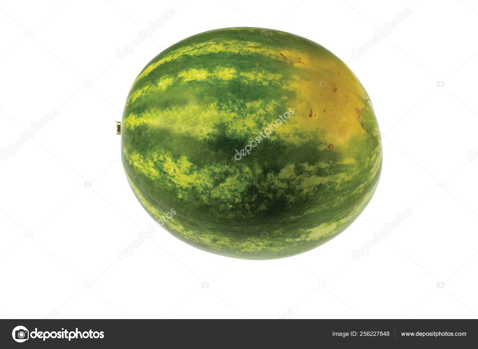 Close View Colorful Watermelon Isolated Healthy Food Organic Concept ...