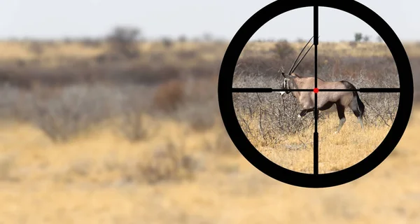 Target and trophy Stock Photos, Royalty Free Target and trophy Images ...