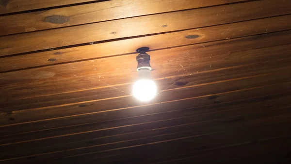 Hide lights Stock Photos, Royalty Free Hide lights Images | Depositphotos