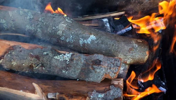 Fire Wood. Logs on the Fire. Bonfire smoke. Wood burning in fire lit ...
