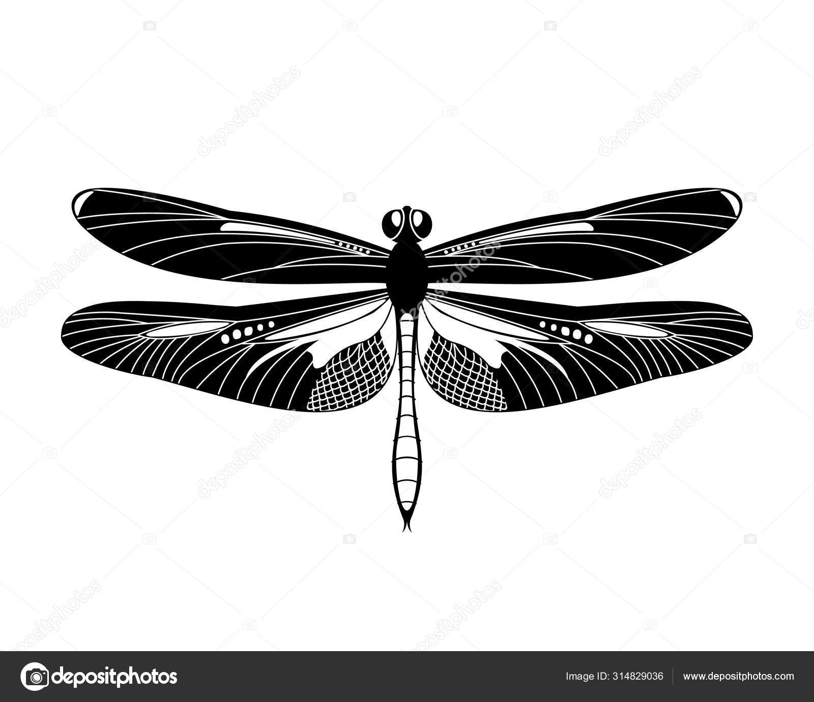 Icono de libélula vector negro aislado sobre fondo blanco , Stock ...