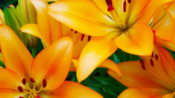 Popular now on bing chhinn images libres de droit, photos de Popular ...