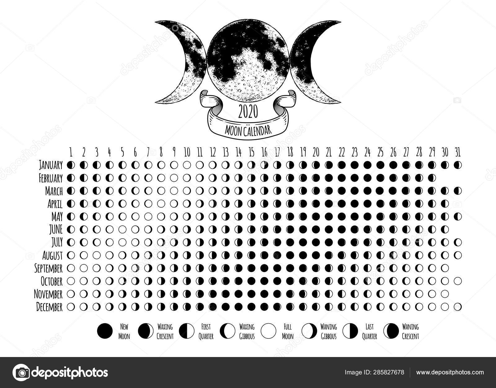 Moon calendar, 2020 year, lunar phases, cycles. Design illustrat ...
