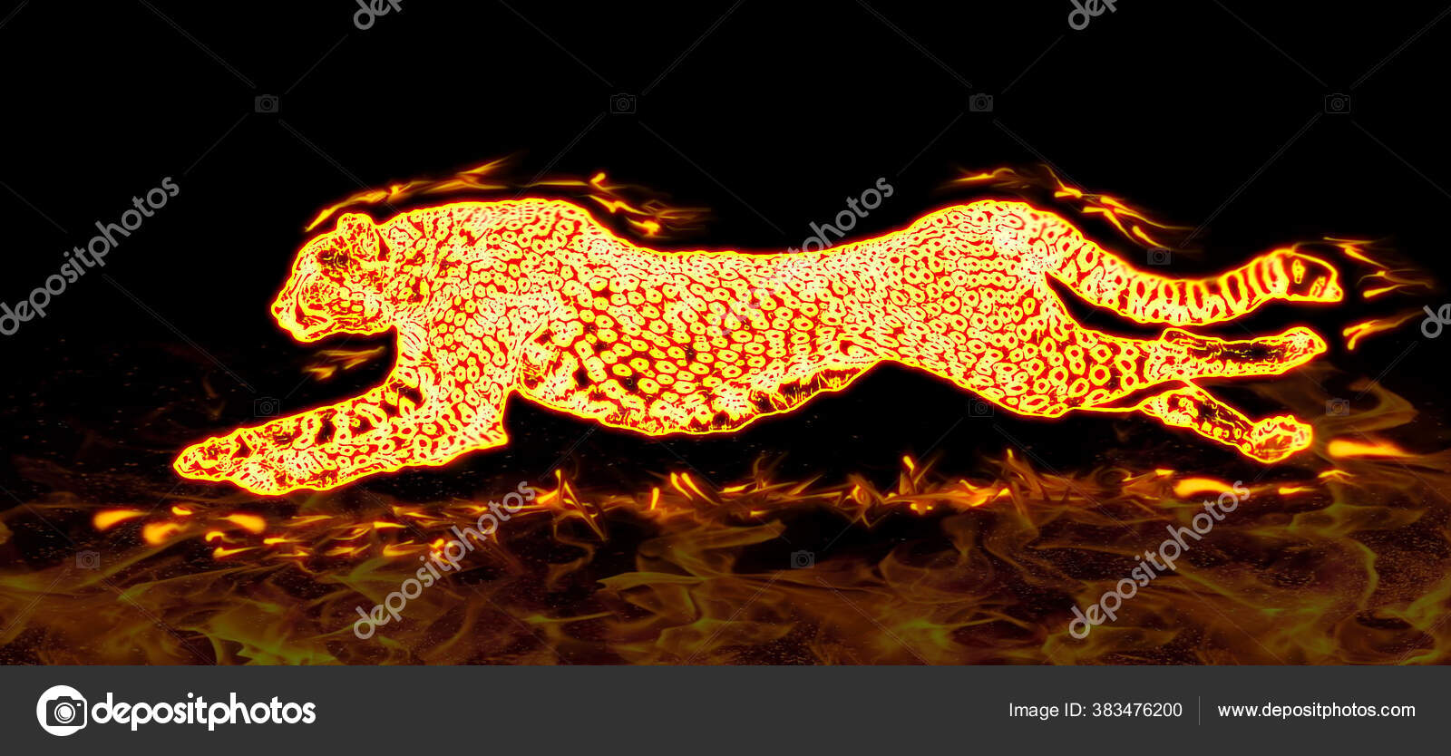 Fire Cheetah Black Background Stock Photo by ©johnref 383476200