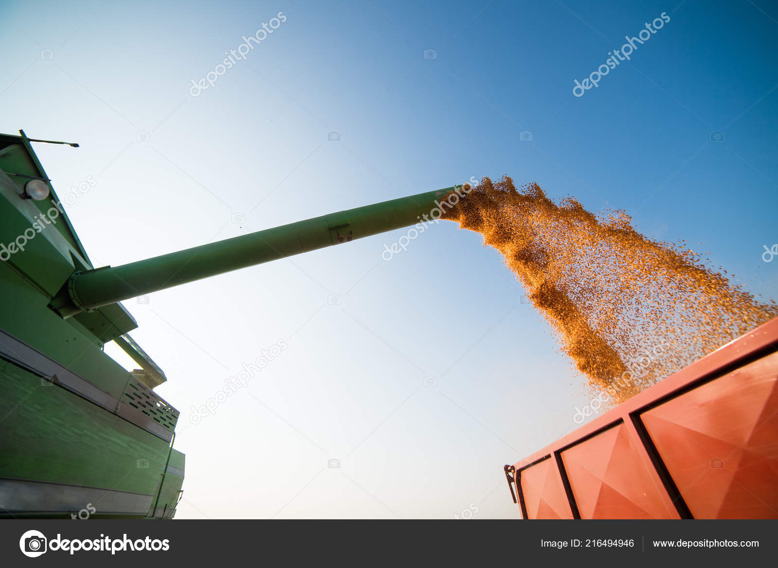 Pouring Corn Grain Tractor Trailer Harvest Field — Stock Photo ...