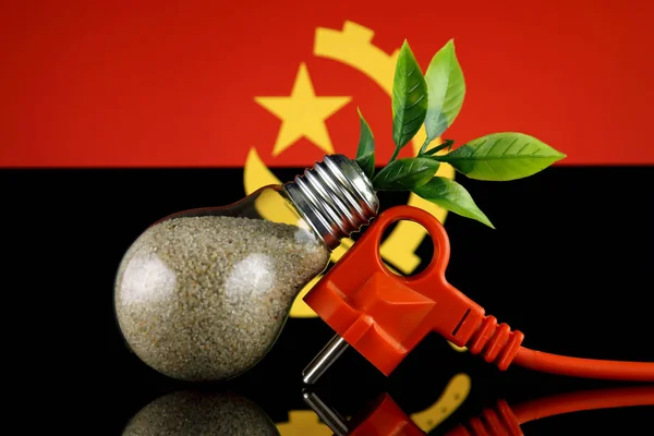 Plug, plant growing inside the light bulb and Angola Flag. Green eco ...