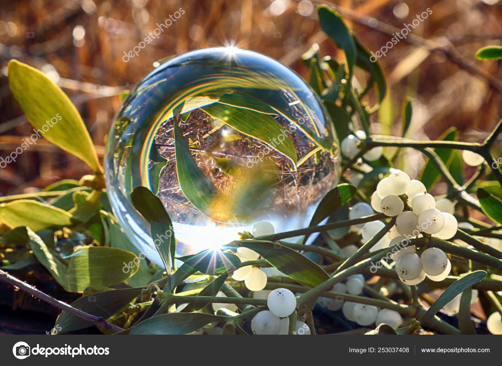 Refraction Photography