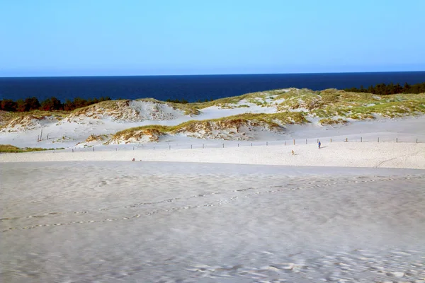 White cat beach Stock Photos, Royalty Free White cat beach Images ...