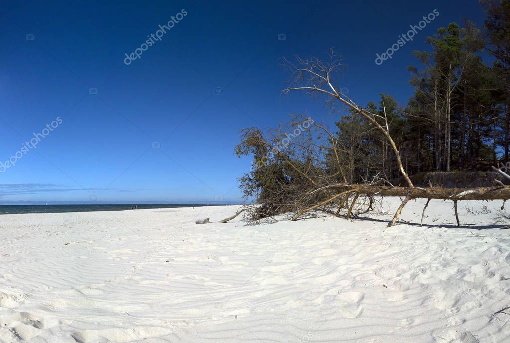 Parque Nacional Slowinski en la costa del Mar Báltico, cerca de Leba ...