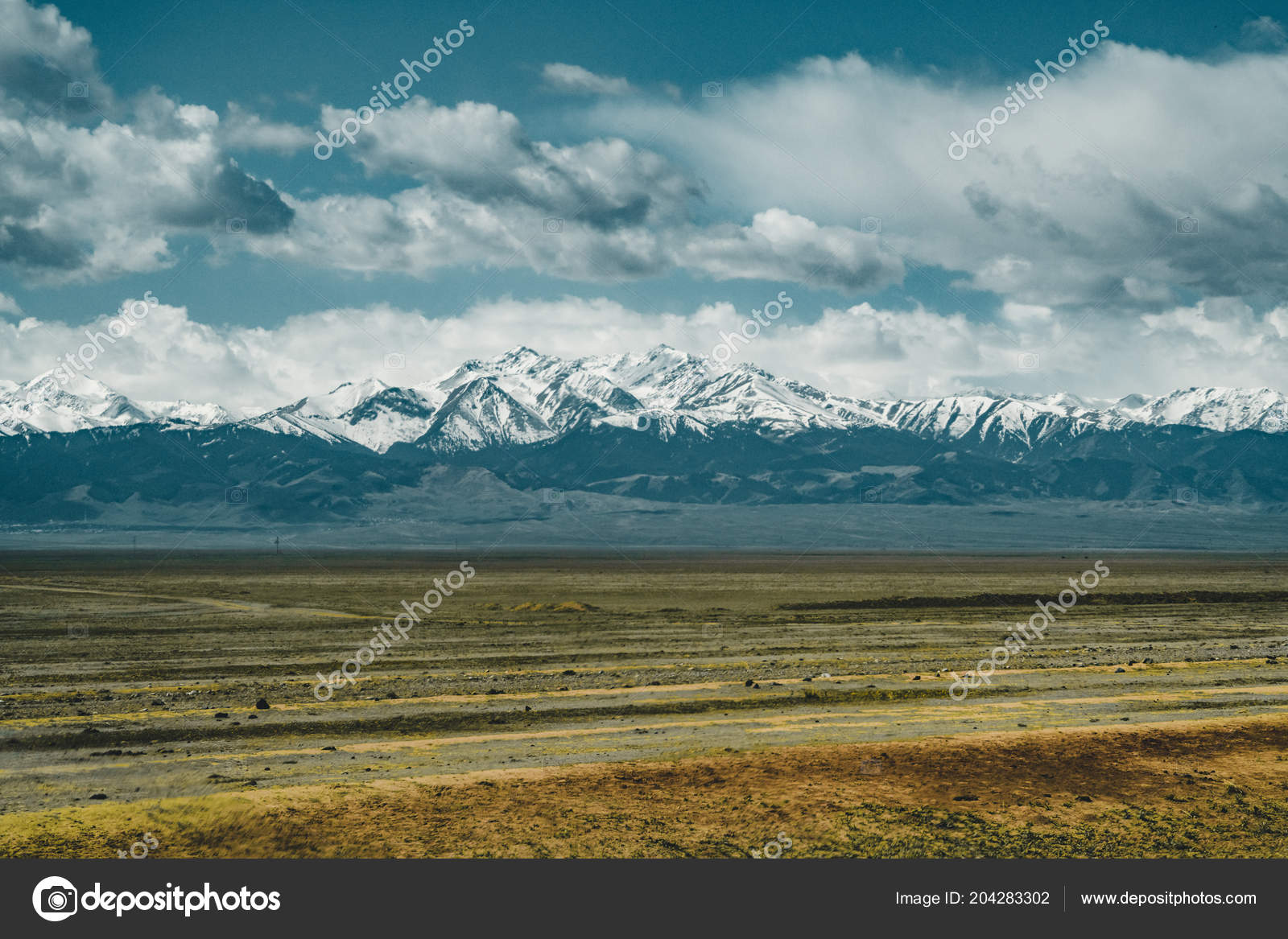 Blue Sky with Tian Shan mountains in background and green steppe ...