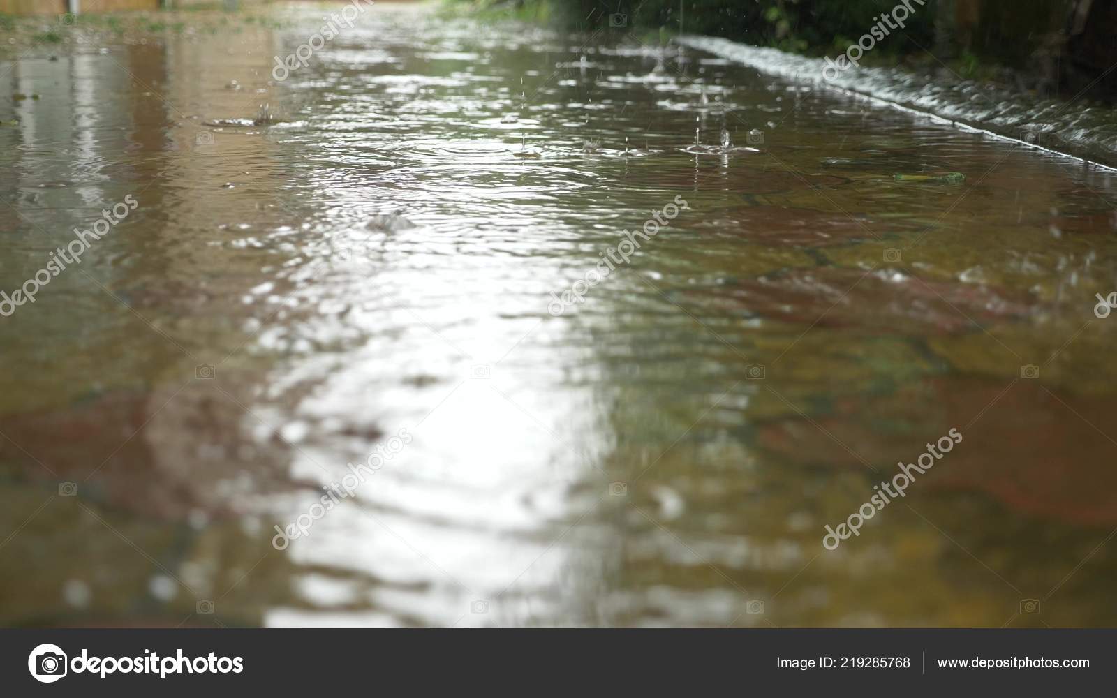 Drops of pouring rain fall into puddles on the sidewalk. close-up ...