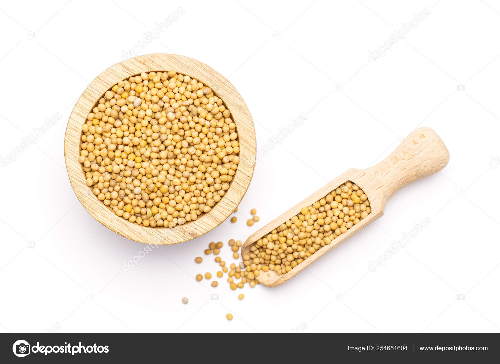 White mustard seeds isolated on white — Stock Photo © PIXbank #254651604