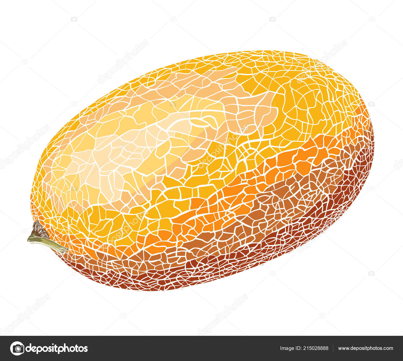 Hand-drawn sketch of melon in color, isolated on white background ...