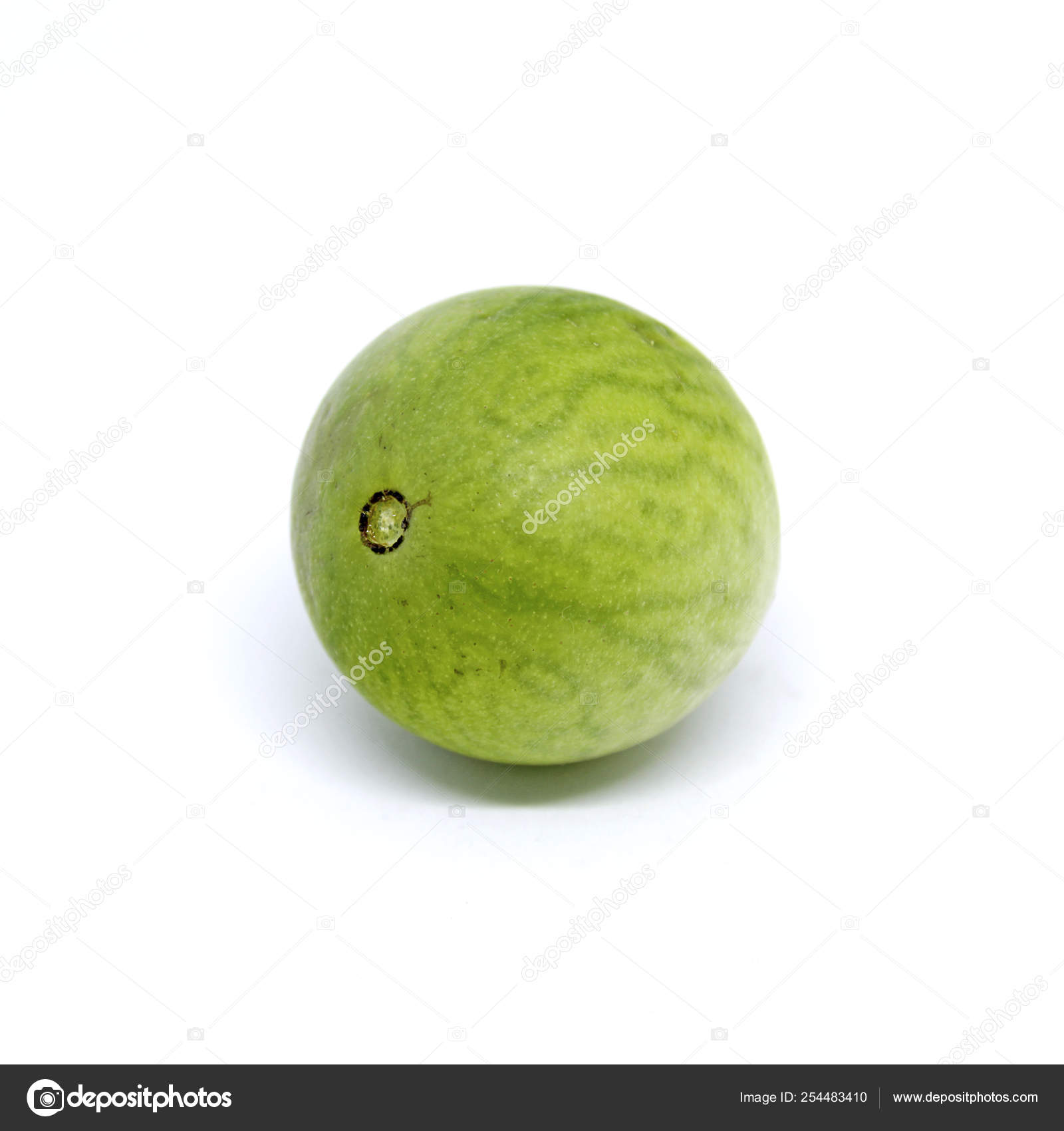 Umbu Fruit Isolated White Background Stock Photo by ©Marcotga 254483410