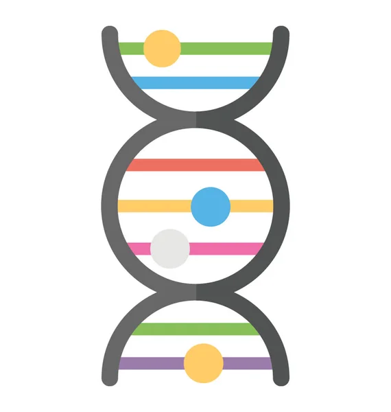 Strand Ribbon Shape Different Atoms Liken Things Symbolizing Dna Stock ...