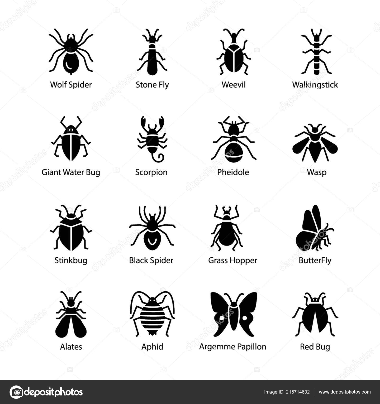Insect Bug Icons Stock Vector Image by ©prosymbols #215714602 Insect Bug Icons Stock Vector Image by ©prosymbols #215714602