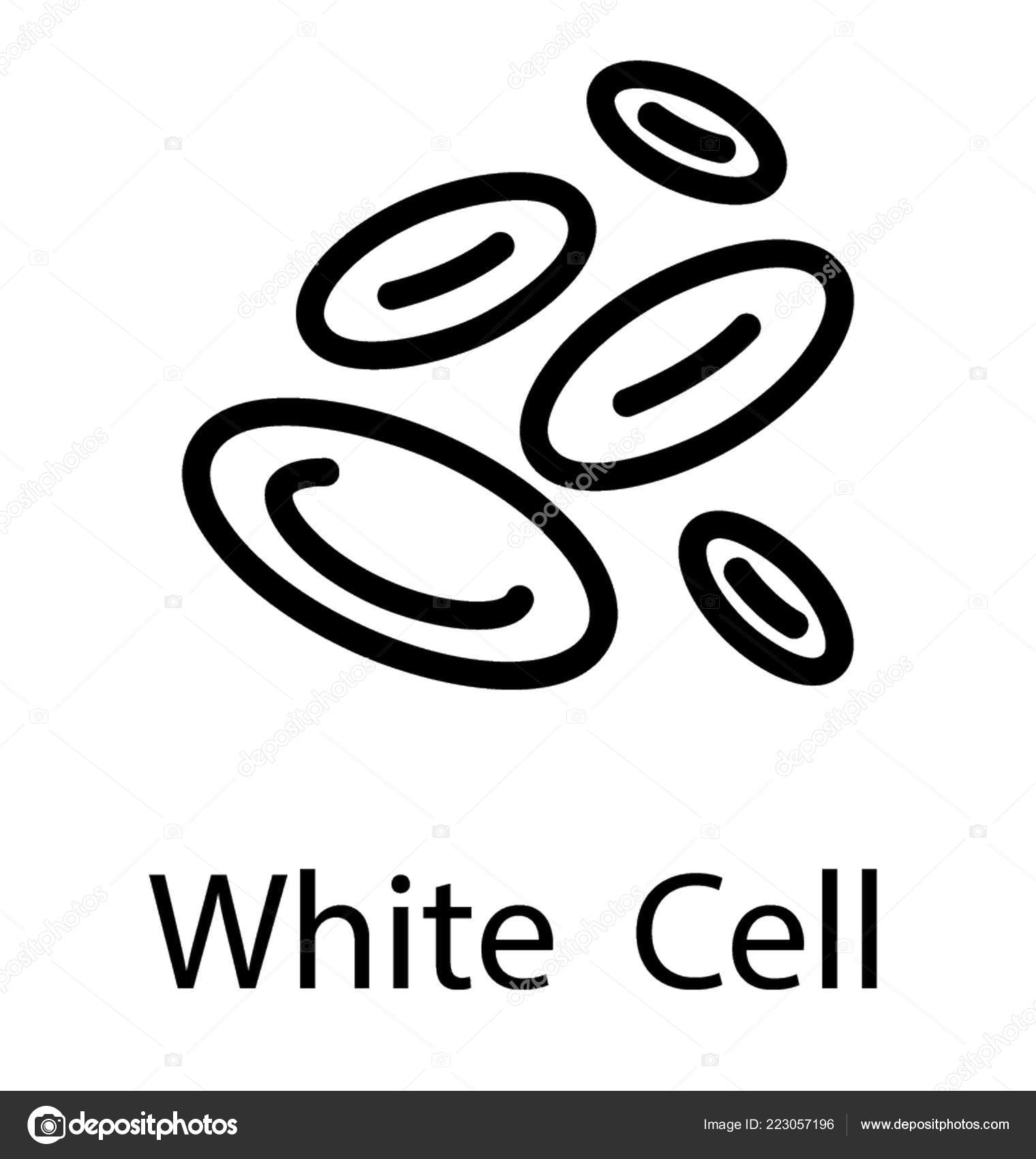 White Cells Part Blood Stock Vector Image by ©prosymbols #223057196