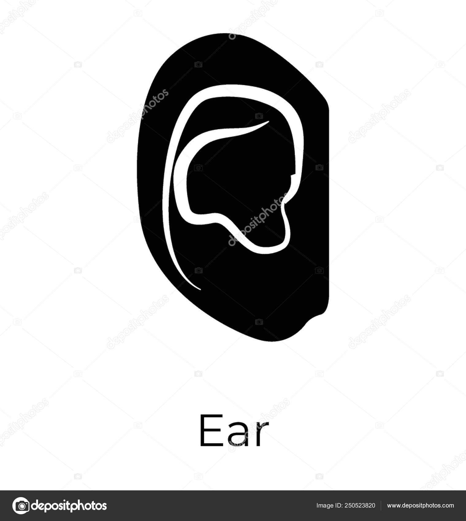 Image vectorielle Organe D'écoute Humain Oreille Humaine par ...