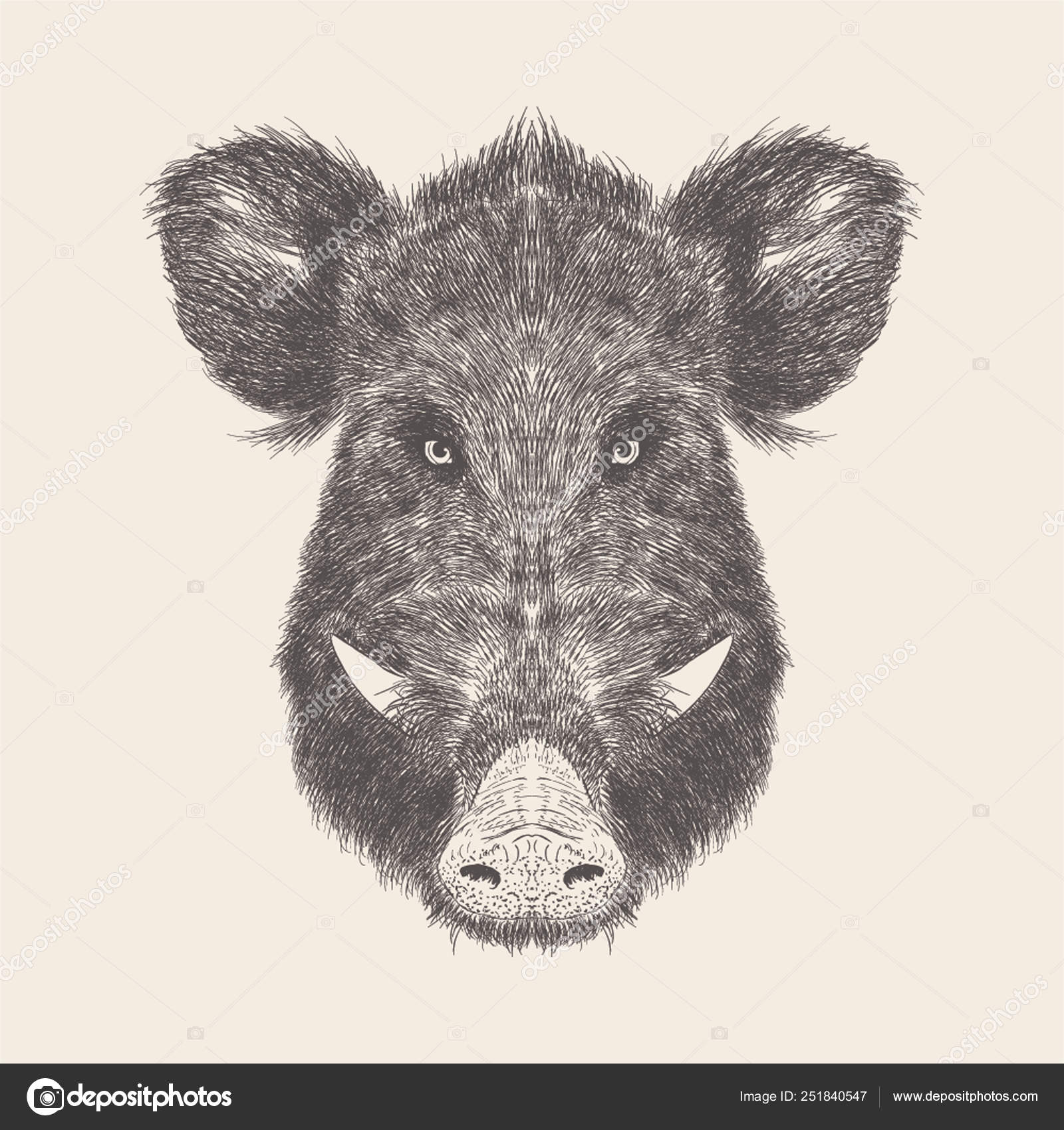 Hand Drawn Vector Wild Boar Illustration Stock Vector Image by ...