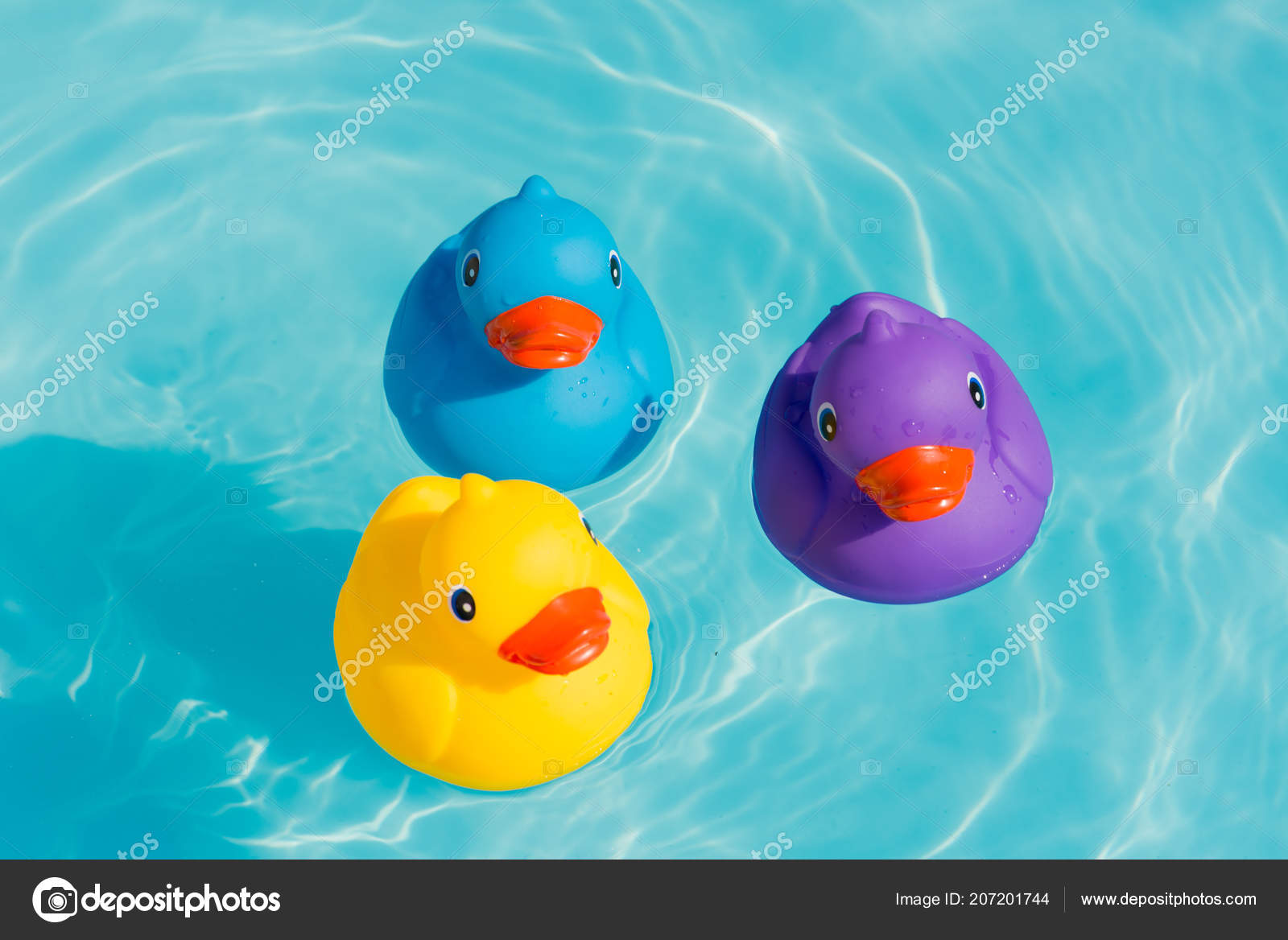 Three Colorful Rubber Ducks Yellow Blue Purple Swimming Water Paddling ...