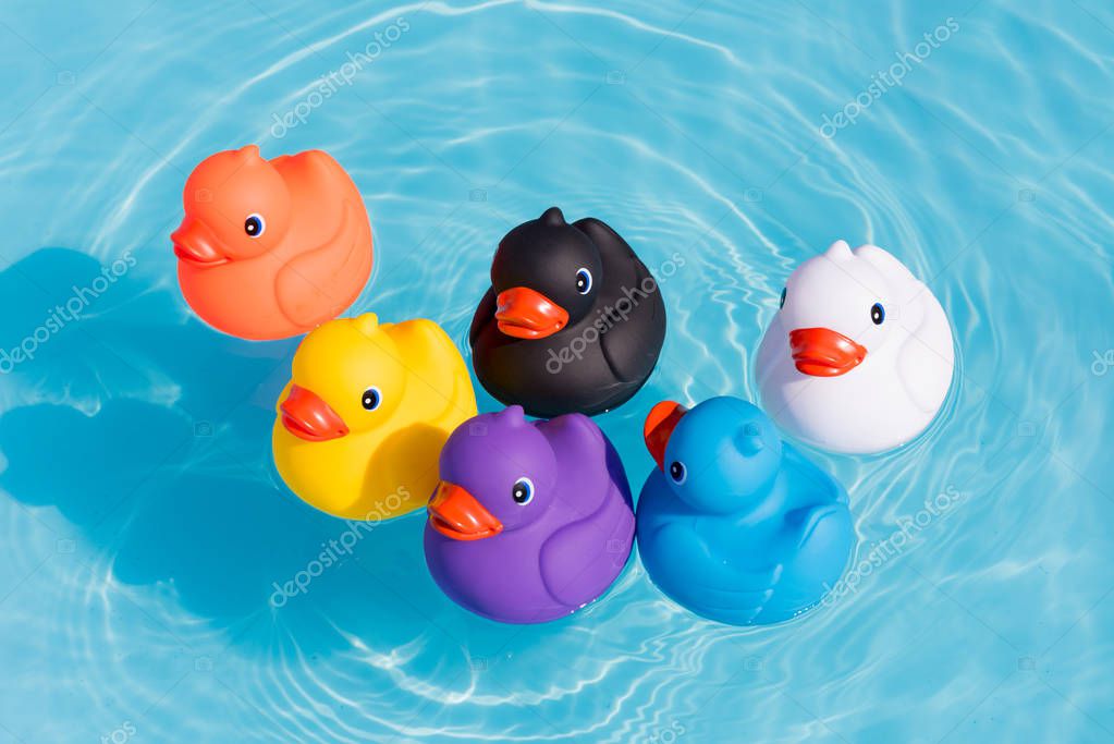 Seis patos de goma de colores, una familia de patos, amarillo, azul ...