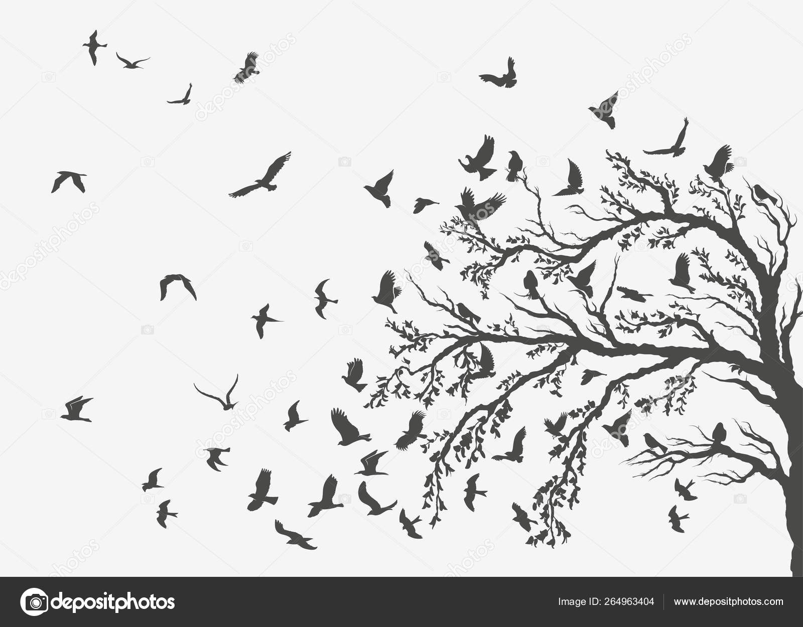 Flock Of Birds Flying Drawing