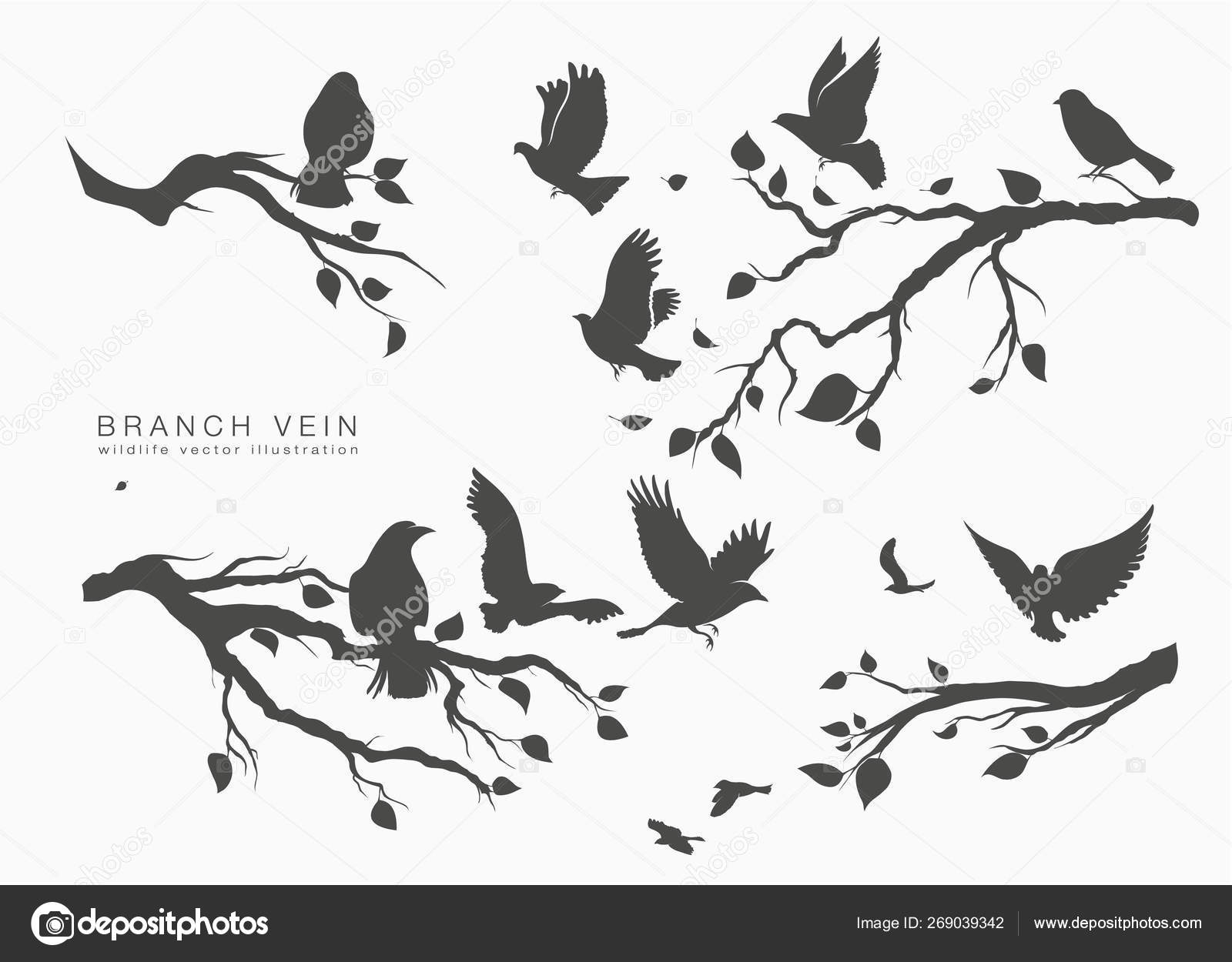 Birds Flying From Tree Silhouette