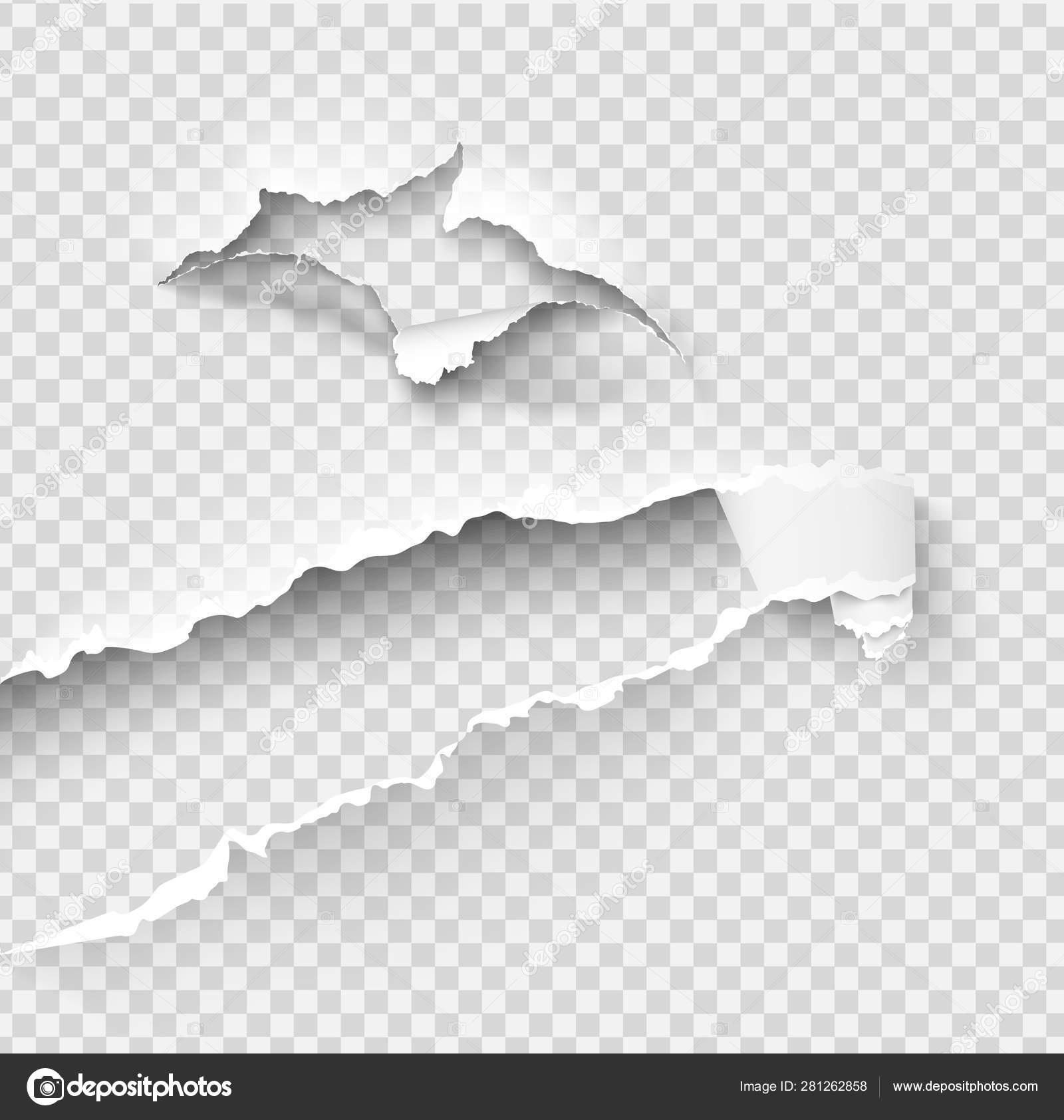 Torn ripped paper vector template, sides with ripped edges on realistic ...