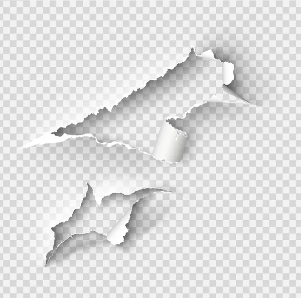 Torn ripped paper vector template, sides with ripped edges on realistic ...