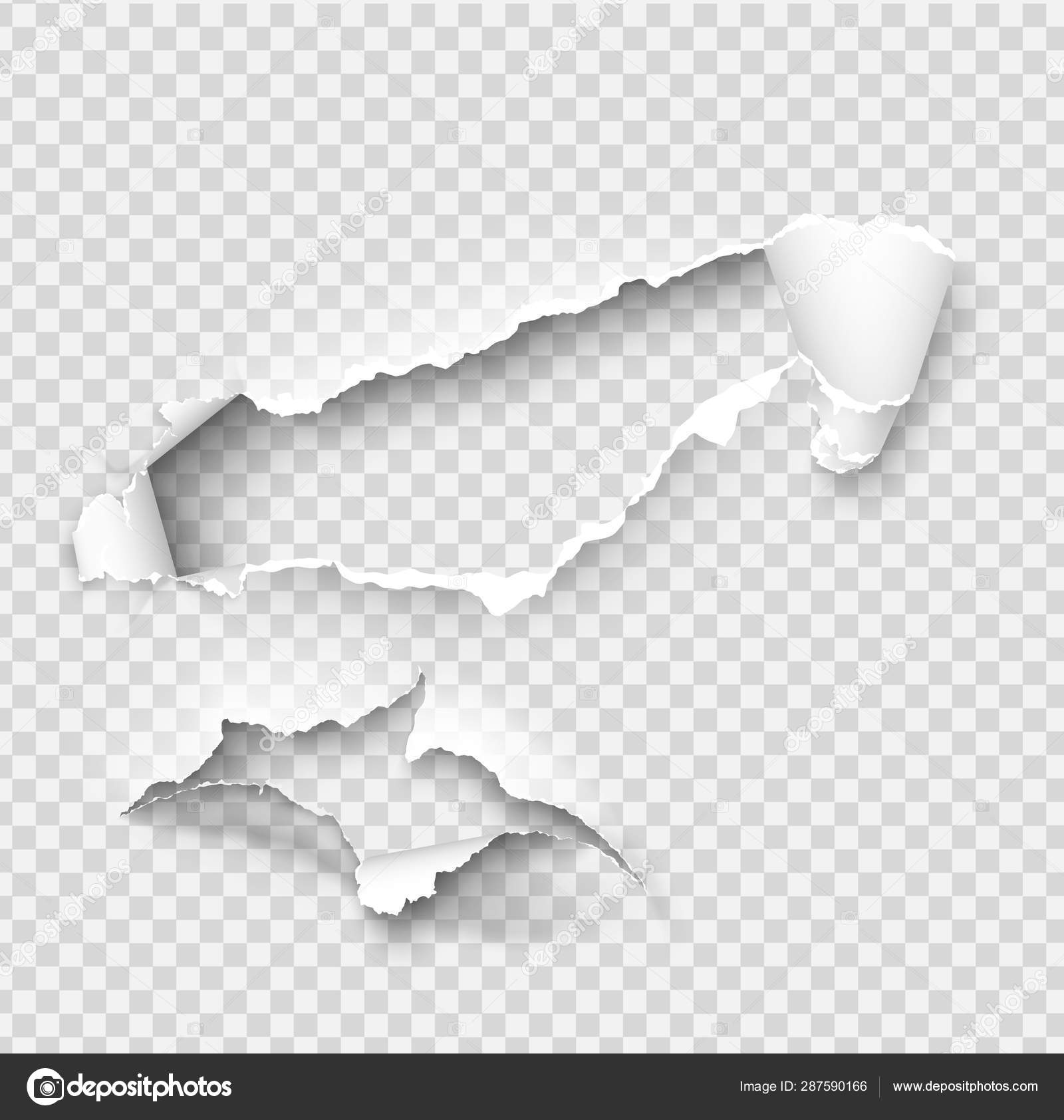 Torn ripped paper vector template, sides with ripped edges on realistic ...