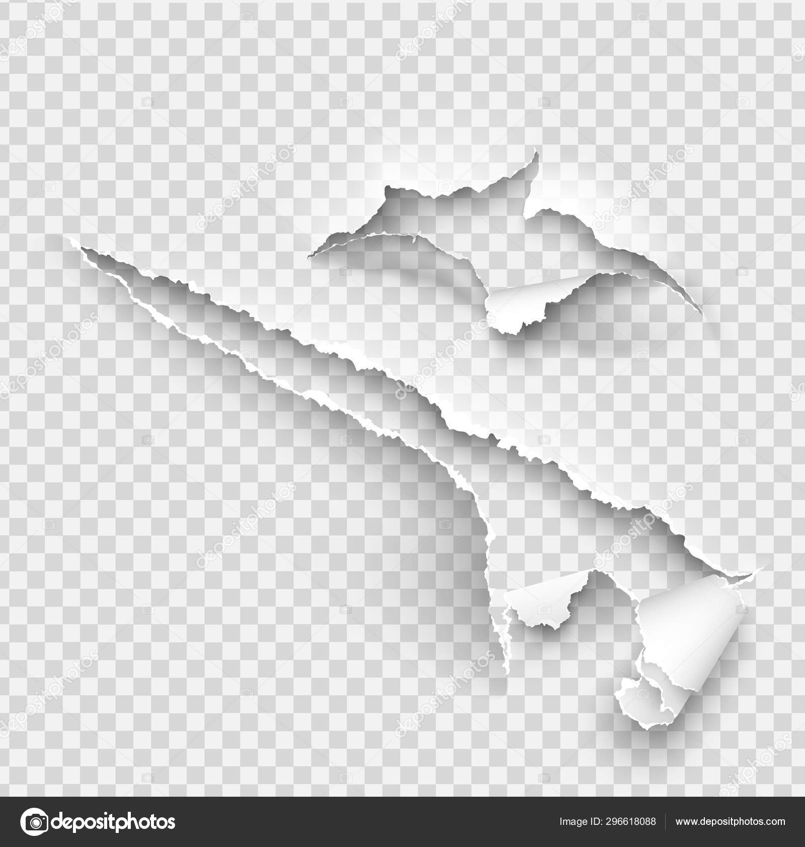 Torn ripped paper vector template, sides with ripped edges on realistic ...