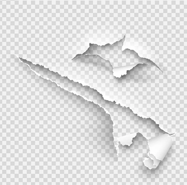 Side edges Vector Art Stock Images | Depositphotos