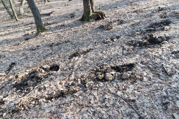 Serious mound Stock Photos, Royalty Free Serious mound Images ...