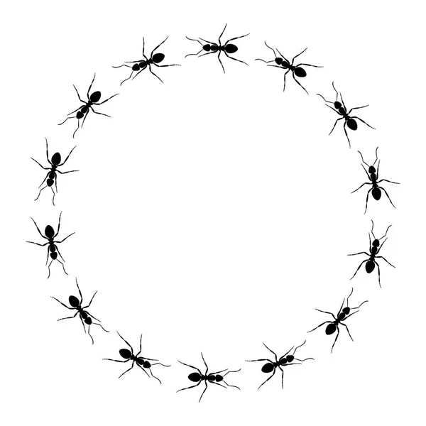 83 Ants frame Vector Images, Ants frame Illustrations | Depositphotos