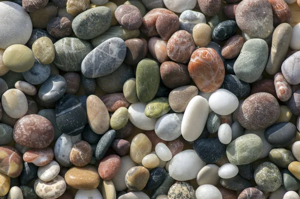 Small Colorful Pebbles Background Simplicity Daylight Stones Stock ...