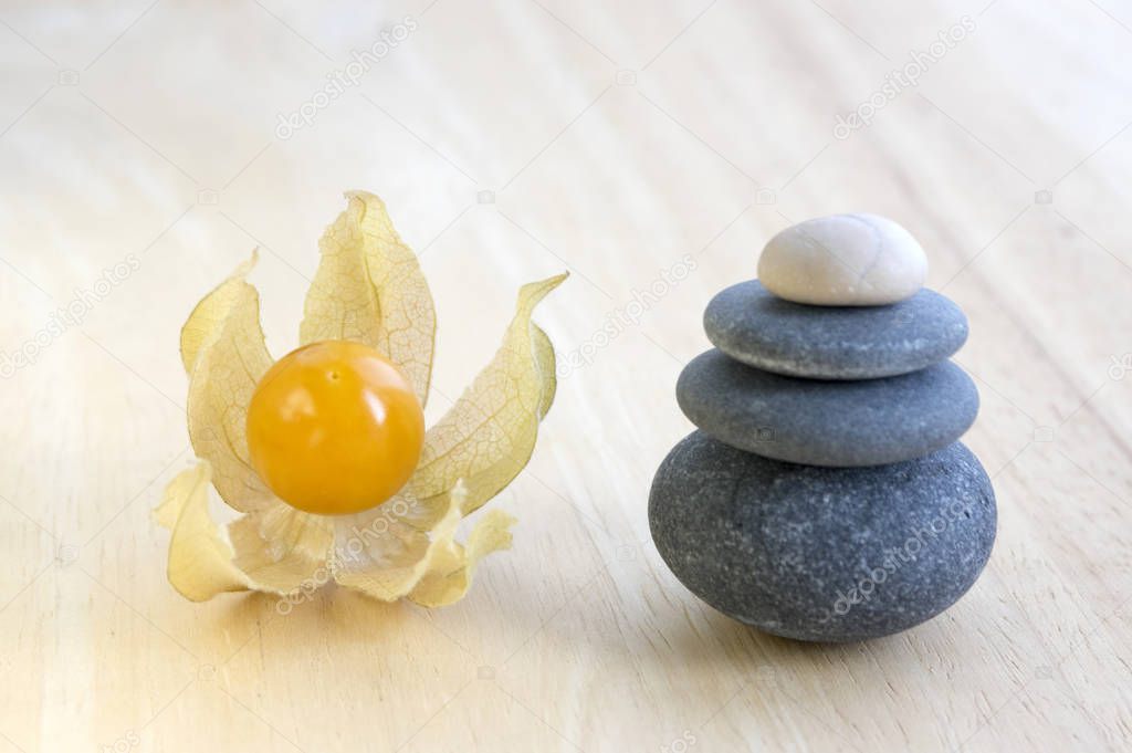 Physalis peruviana, Cape gooseberry, Inca berry, Aztec berry, golden ...