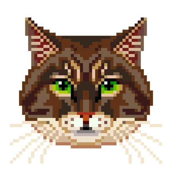 Pixel siberian cat face isolated vector photo-realistic illustration ...