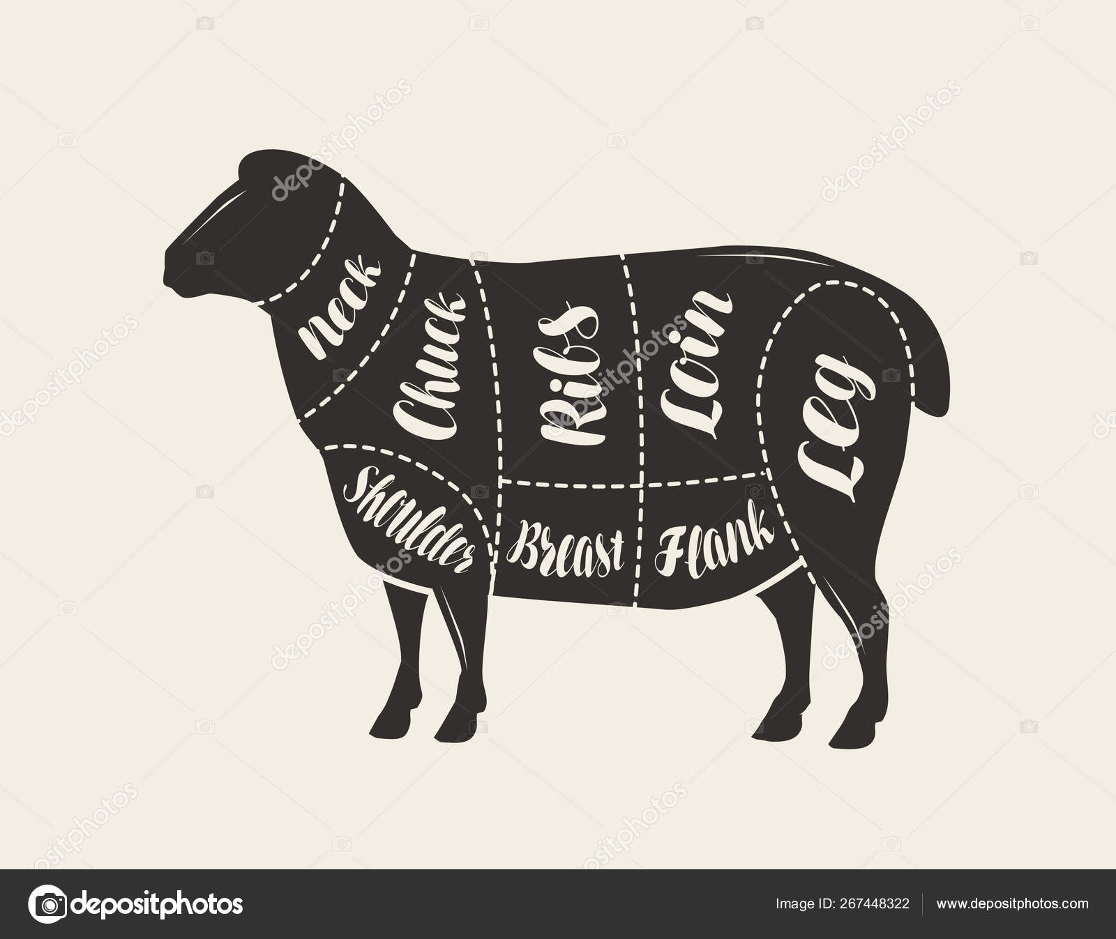 Diagrama De Cortes De Carne De Cordeiro