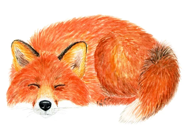 Fox drawing Stock Photos, Royalty Free Fox drawing Images | Depositphotos