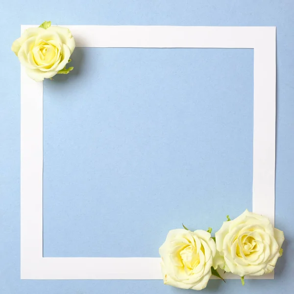 White rose frame Images - Search Images on Everypixel