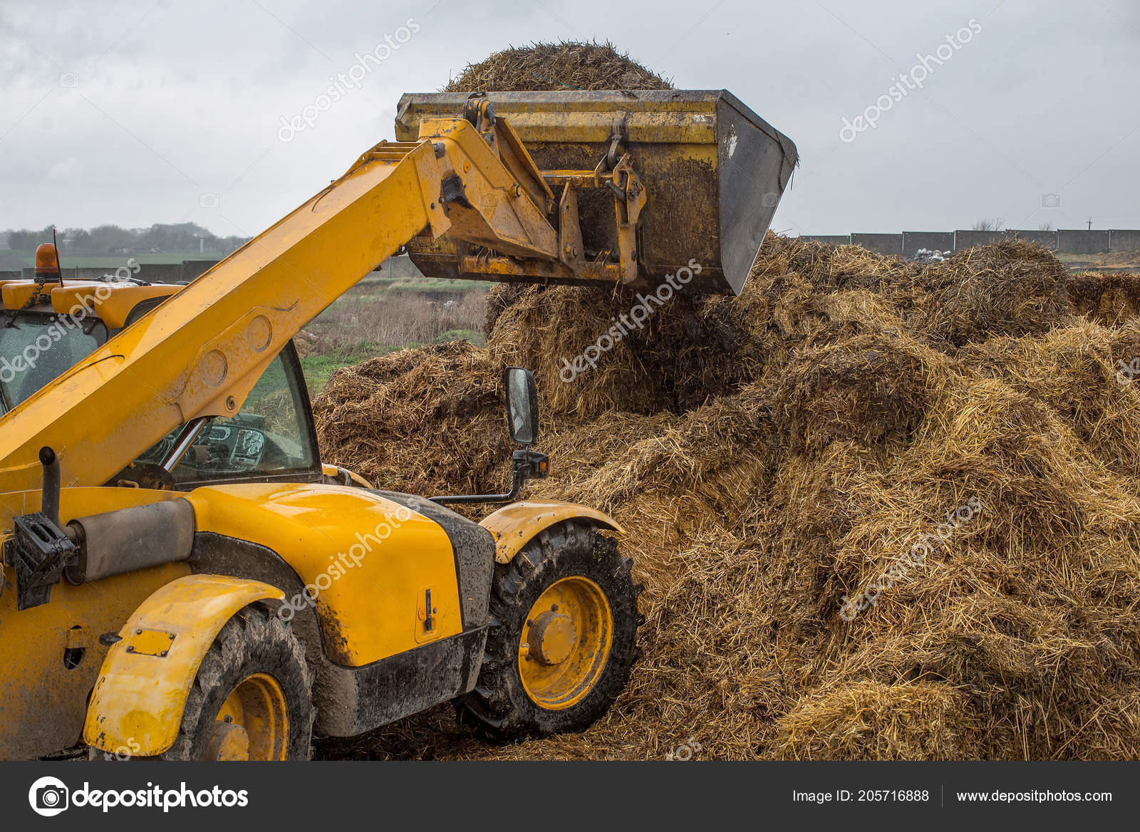 Farming Ukraine Harvesting Storage Silage Fodder Livestock Stock Photo ...