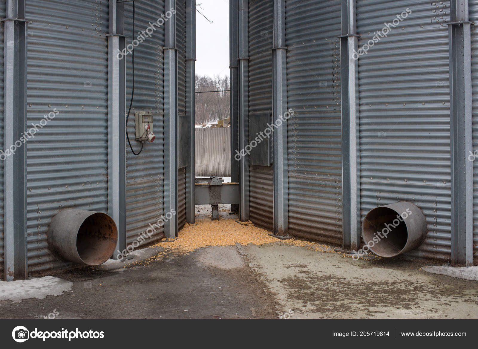 Loss Poor Storage Grain Crops Industrial Elevators — Stock Photo ...