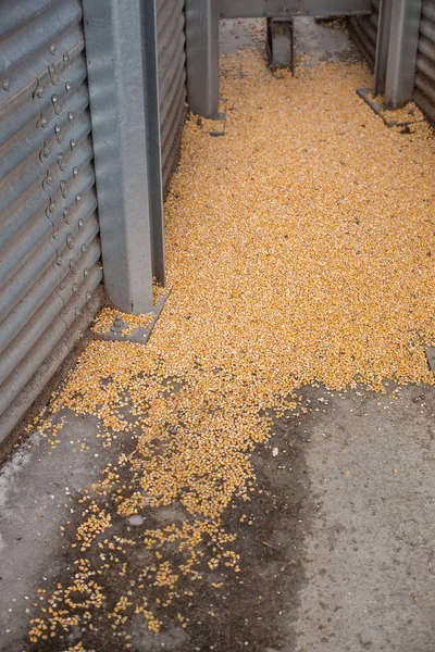 Minimization Stock Photos, Royalty Free Minimization Images ...