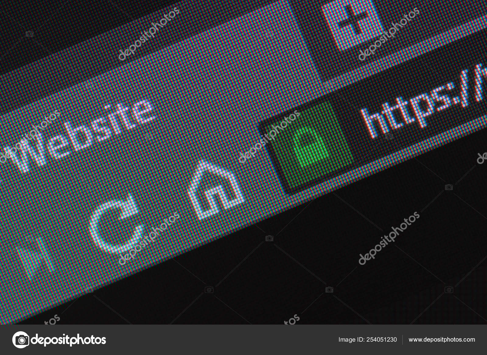 Web browser closeup on LCD with secure https url and visible pixels ...