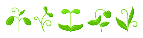 Grow concept — Stock Vector © Krisdog #22499065