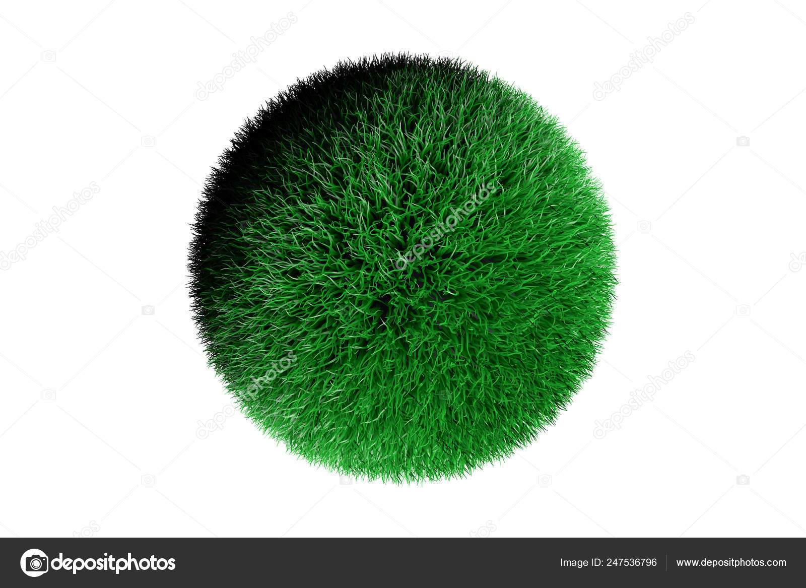 Sphere Green Grass Texture on White Stock Photo by ©niglaynike 247536796